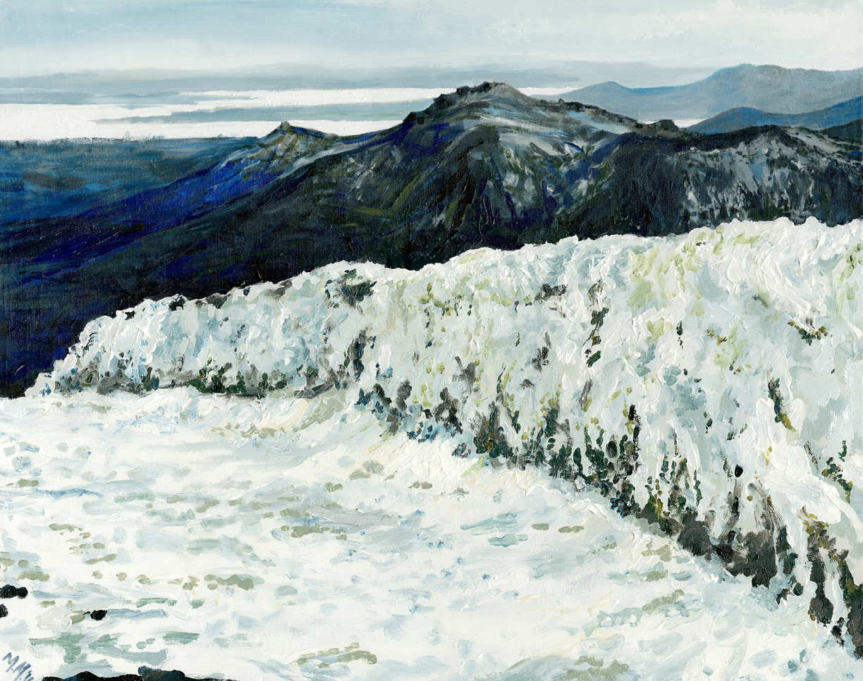 Gallery – Martin Matthews